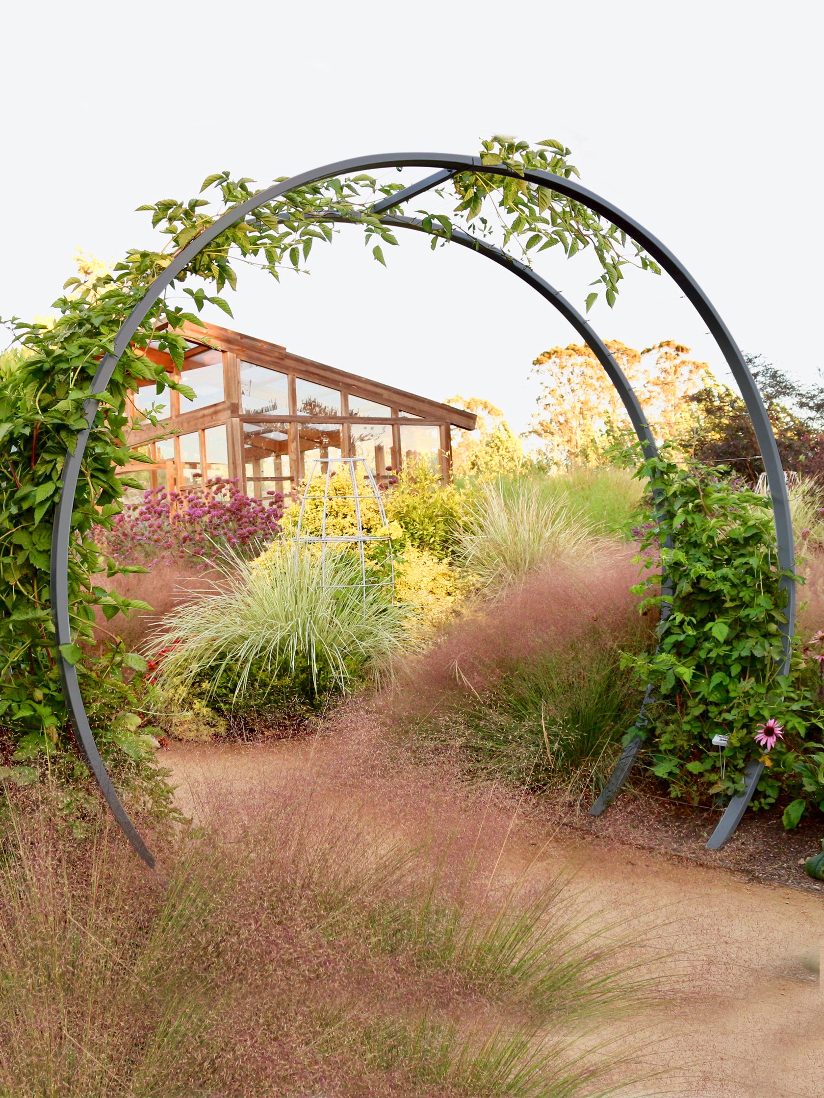 GRACIE MODERN ARBOR | Terra Trellis | TerraSculpture/TerraTrellis