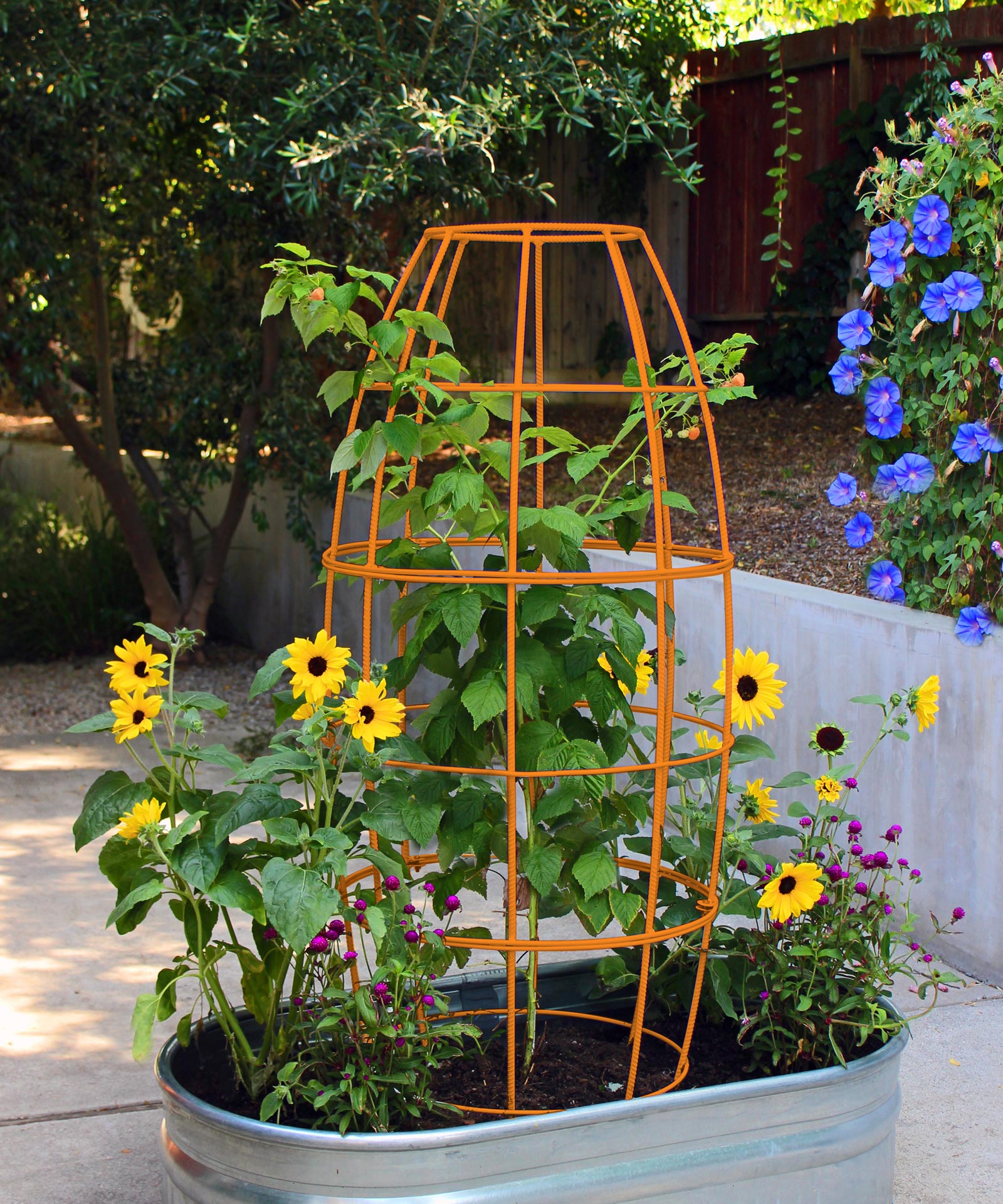 TOKI BUBBLE TRELLIS | Terra Trellis | TerraSculpture/TerraTrellis